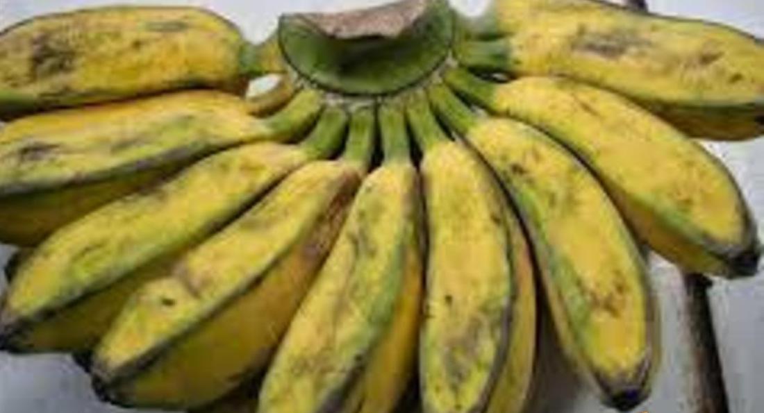 Pisang, Indahnya Sedekah | Kissparry