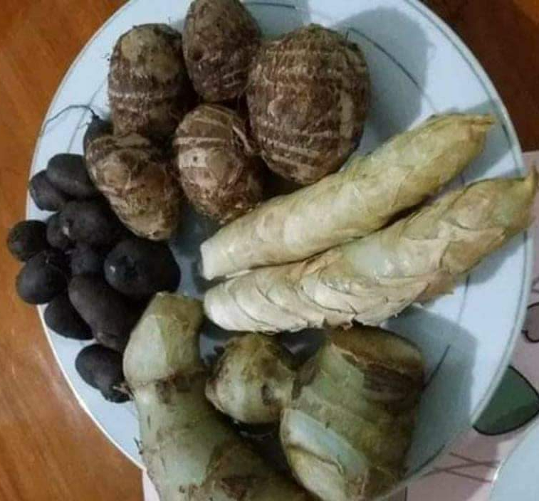 Beberapa Umbi yang Bisa di Konsumsi, Bahkan Jadi Komoditas | Kissparry ...