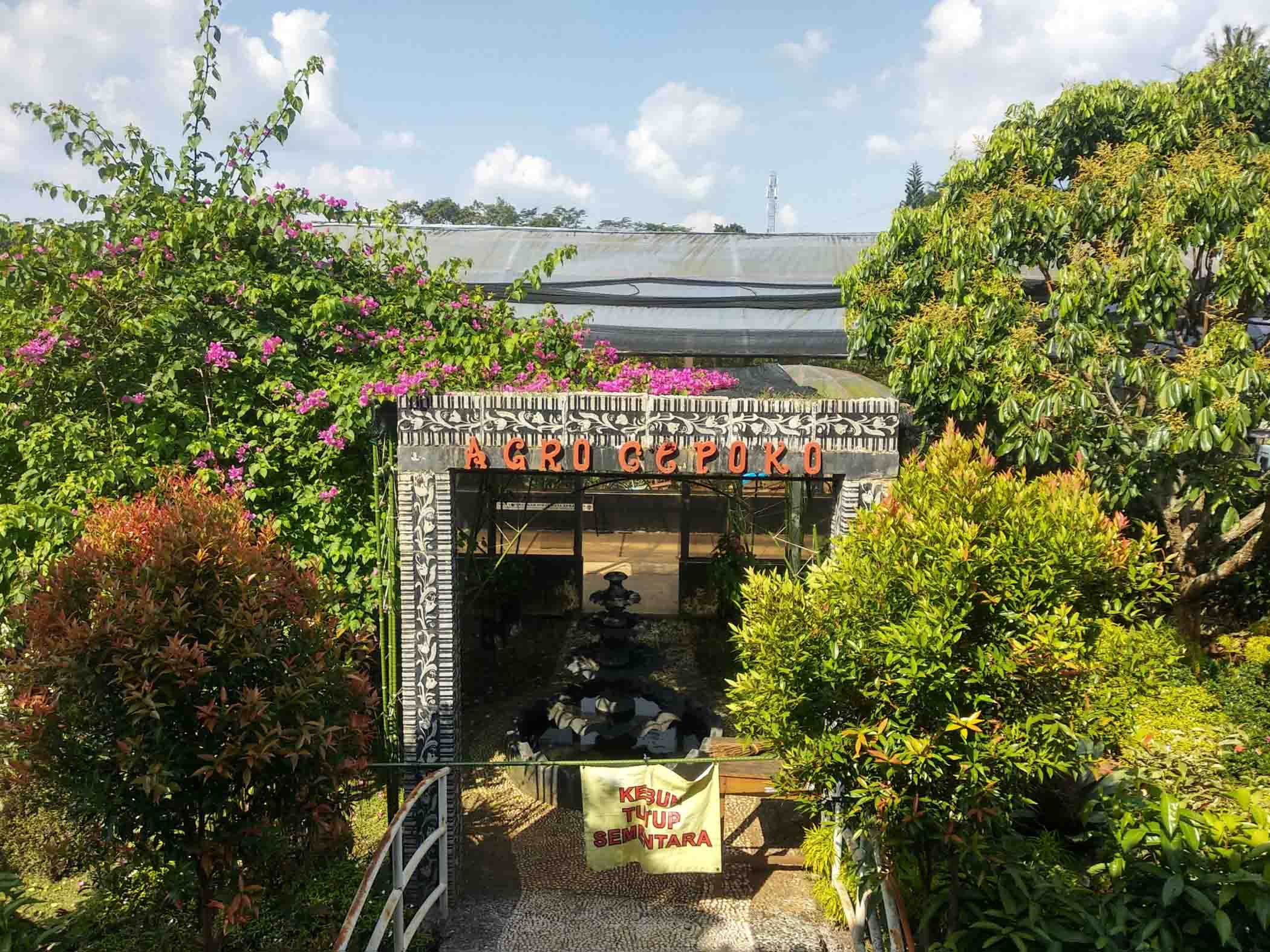 Agro Cepoko Gunungpati Semarang, Petik Buah, Tersedia Bibit Tanaman ...