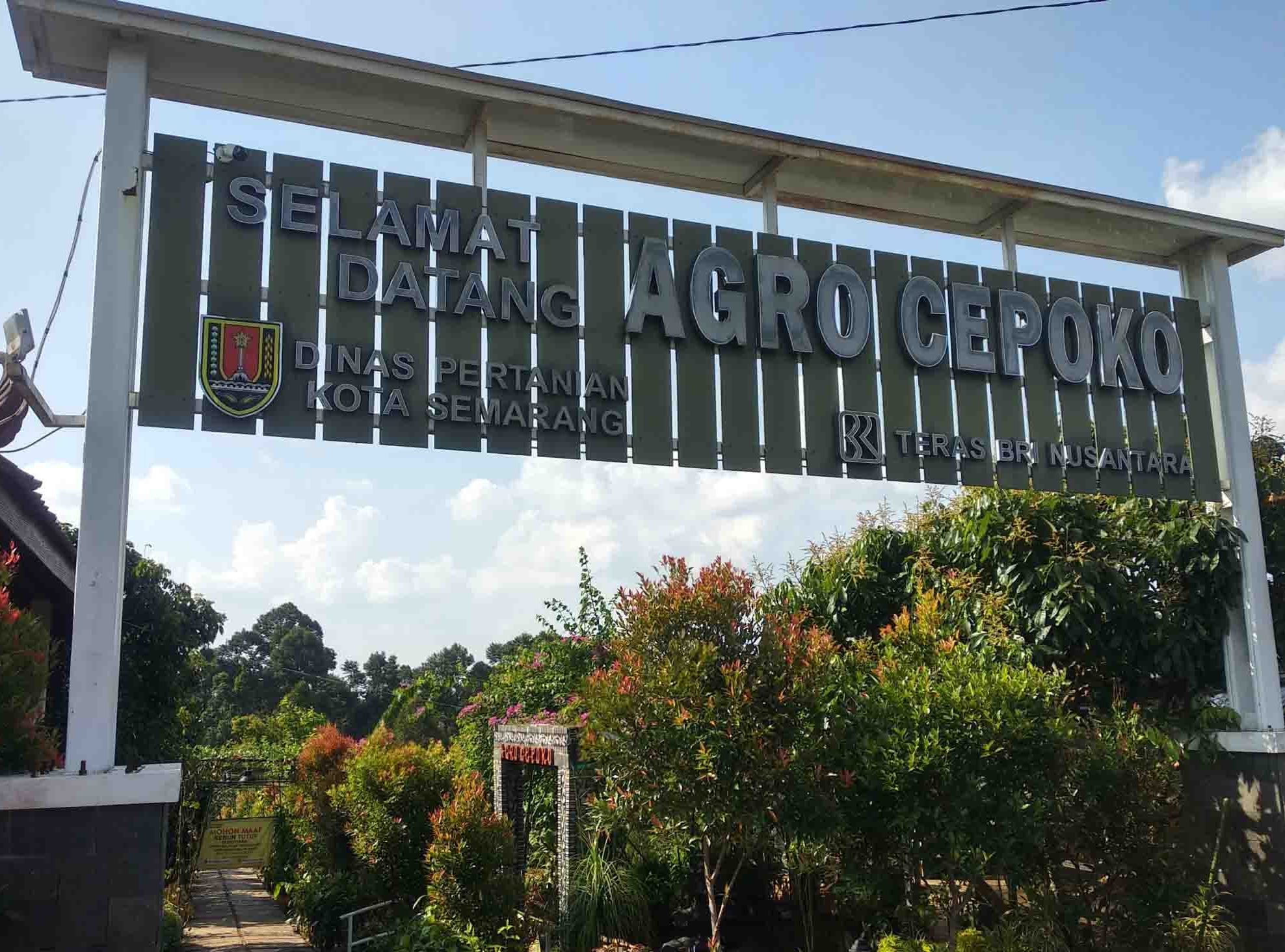 Agro Cepoko Gunungpati Semarang, Petik Buah, Tersedia Bibit Tanaman ...