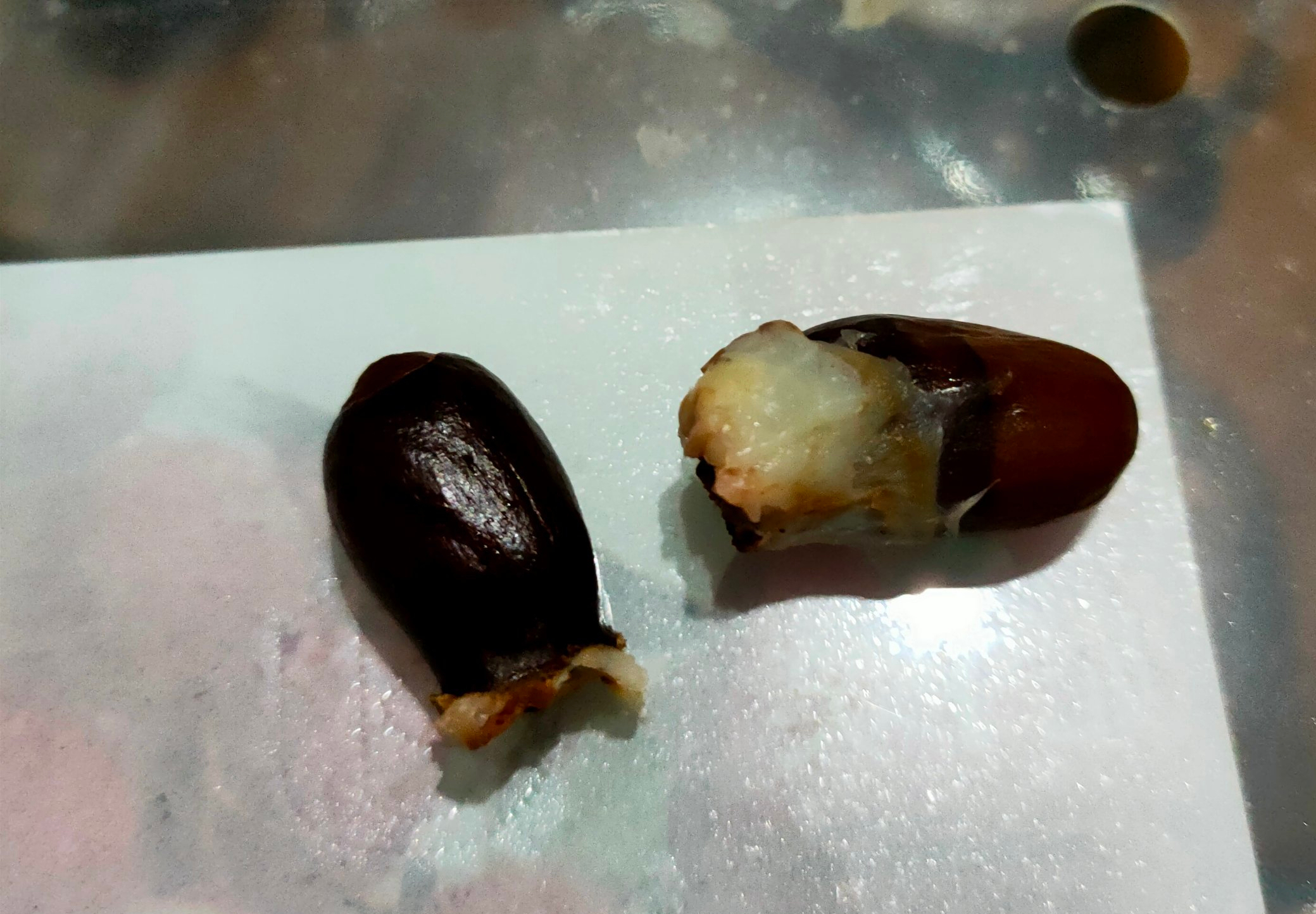 Inilah Bentuk dan Rasa Buah Leci | Kissparry