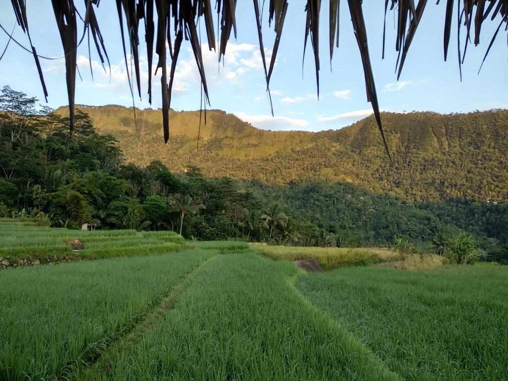 Apa Itu Tuslah atau Toeslag pada Angkutan Umum yang Muncul Saat Arus ...